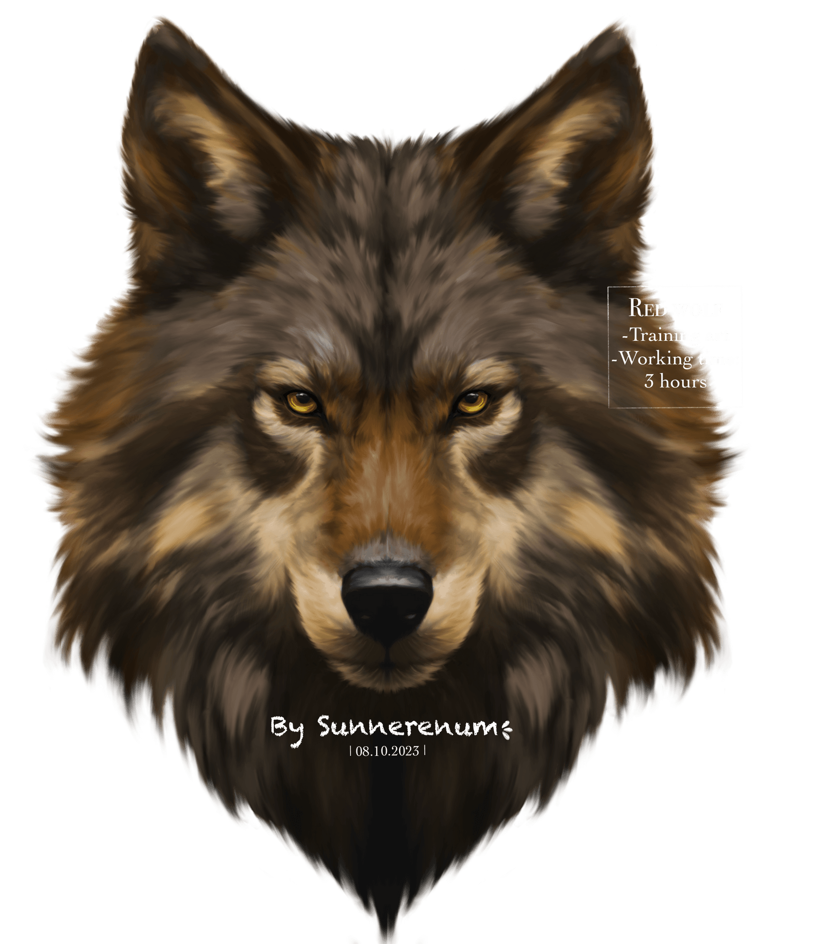 Loup Roux - Sunnerenum - Digital Painting .School