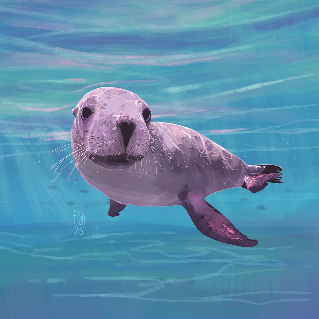 Phoque - fish - Digital Painting .School