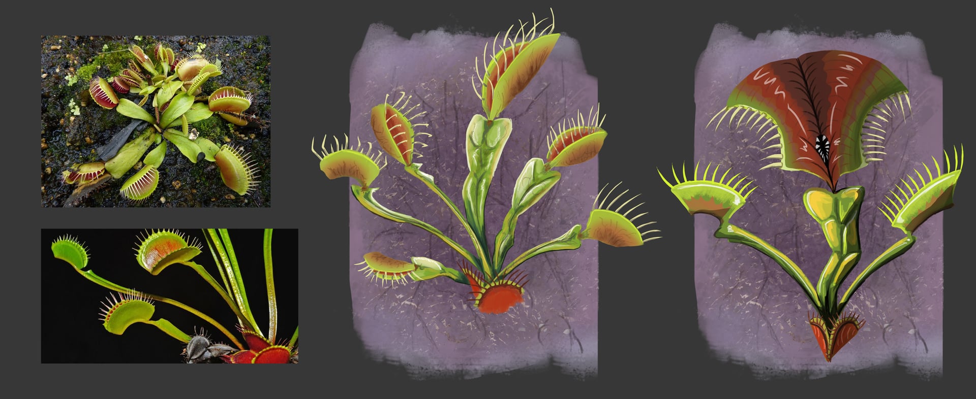 Exercices de Stylisation - AlexSuperDark - Digital Painting .School